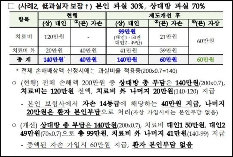 자동차사고 경상환자 치료비 과실책임주의 적용 정보백과